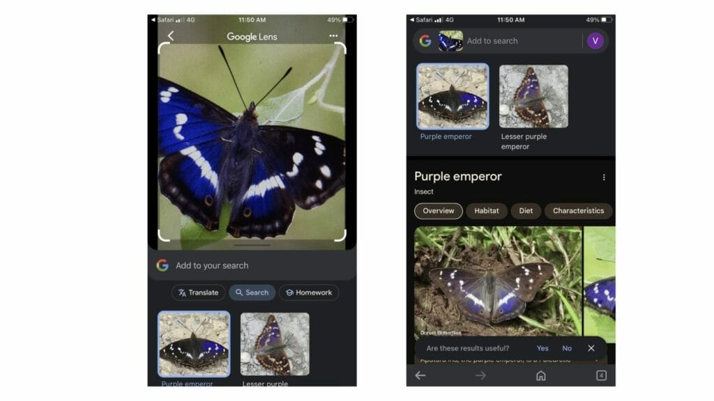 How To Use Google Lens | 7 Cool Things To Do With Google Lens