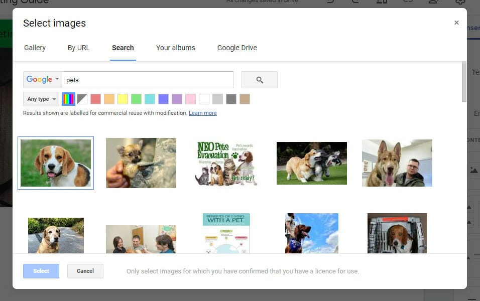 How To Create A Website Using Google Sites In 2023|DigiFix